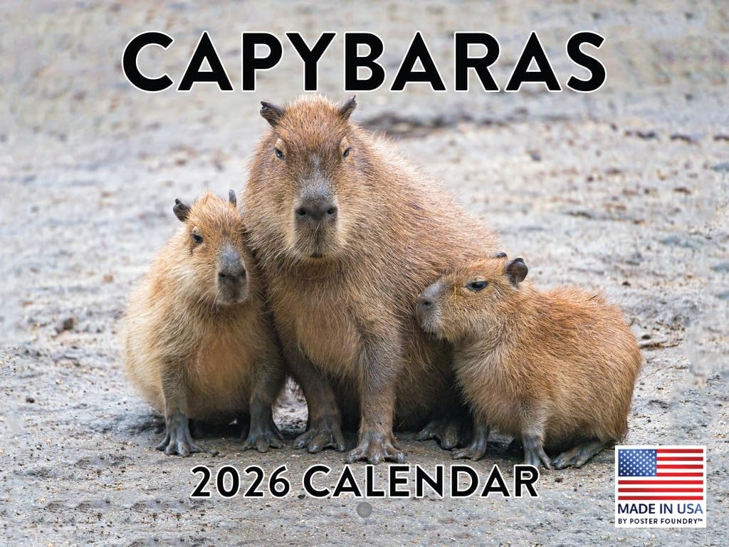 Capybara Calendar 2026 Monthly Wall Calender 12 Month | American Made ...