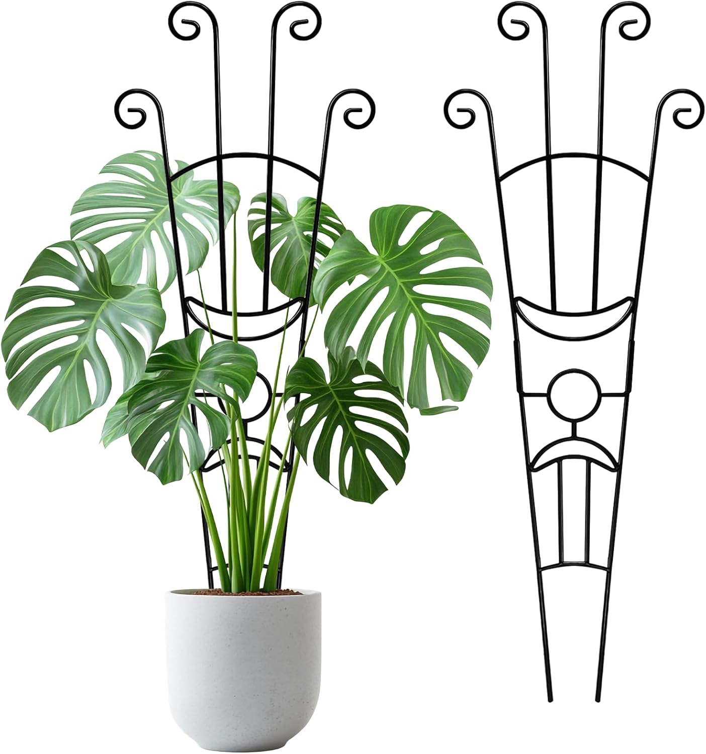 2 Pack Taller Trellis for Climbing Plants Indoor, 83cm Expandable ...