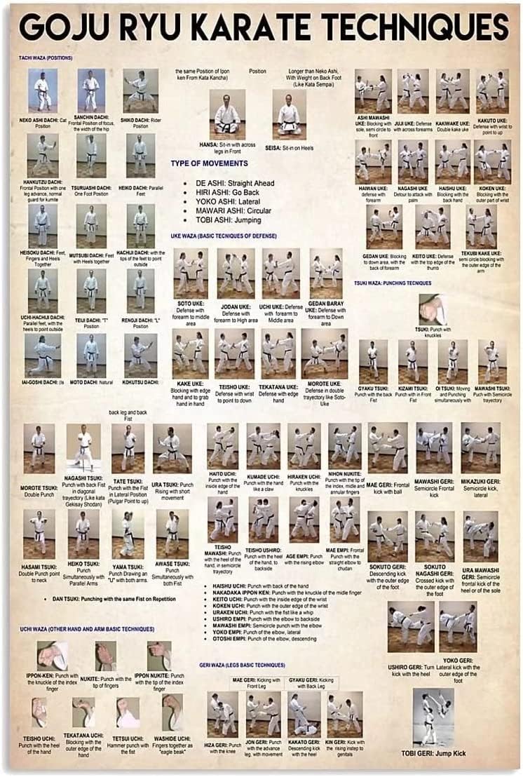 Amazon.com: Haosensix Karate Beginner Knowledge Metal Signs Wall Decor ...