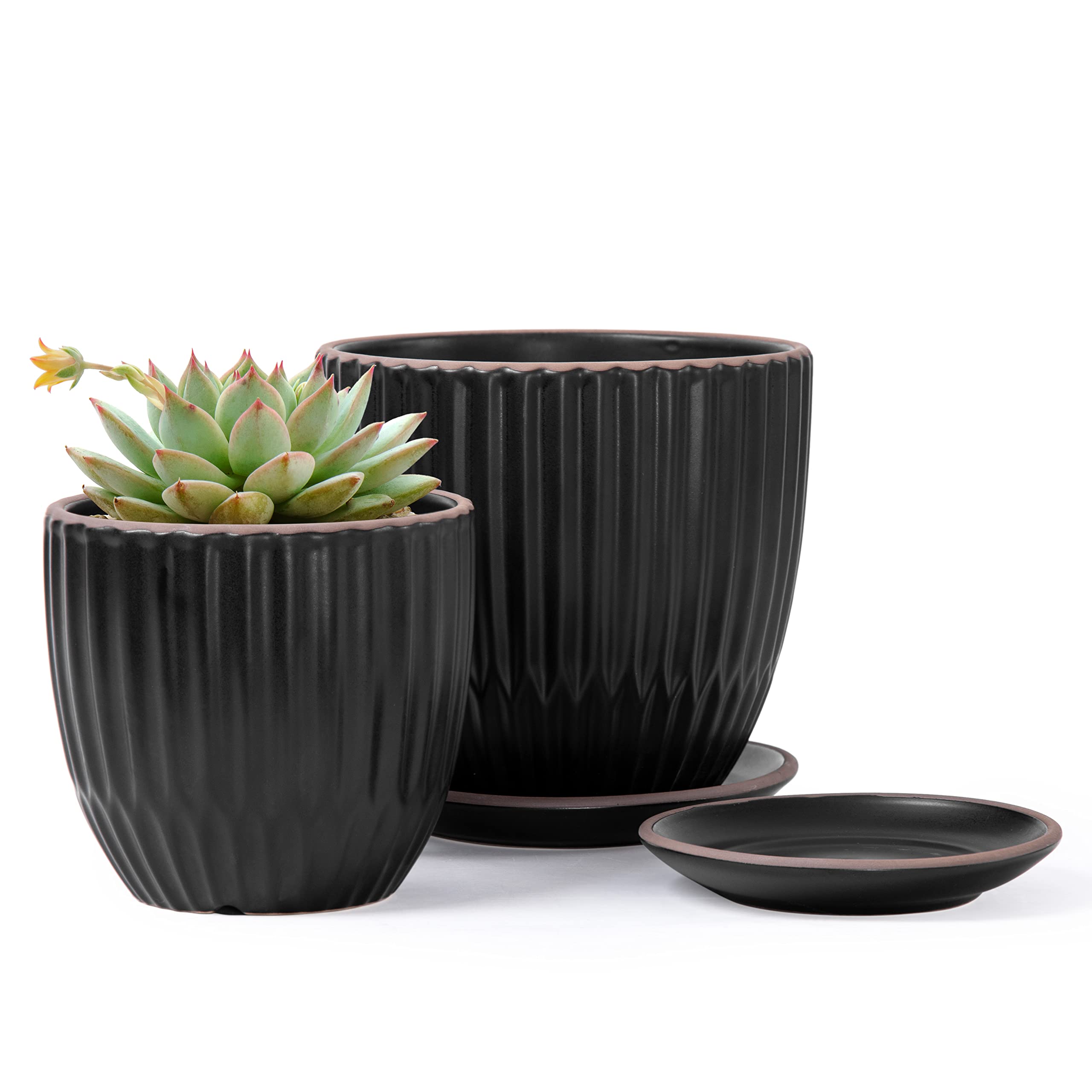 Amazon.com : D'vine Dev Set of 2 Stoneware Planter Pots, Ceramic Pot ...