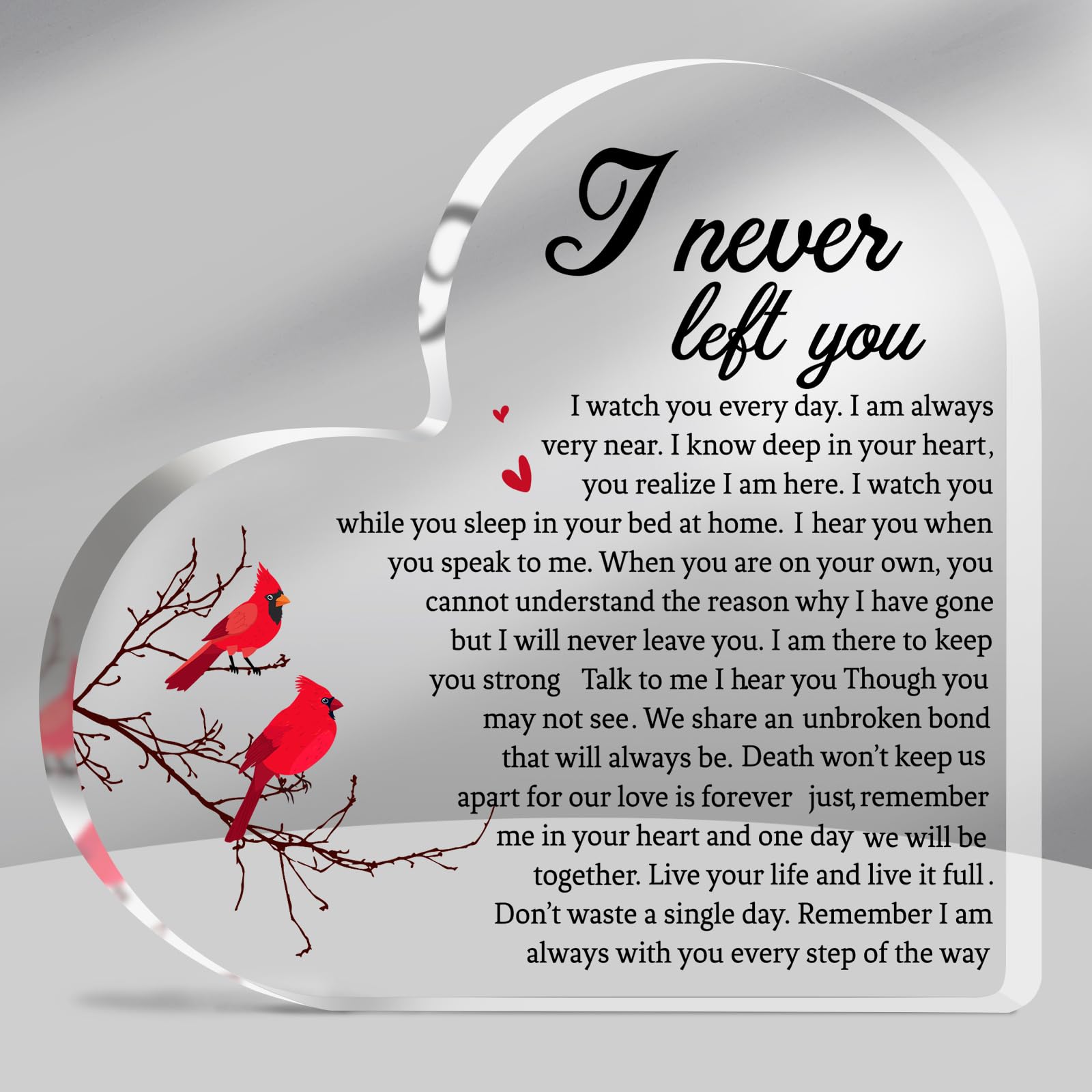 Amazon.com: Pigort In Memory of Loved One Gifts- Memorial Gift for Loss ...