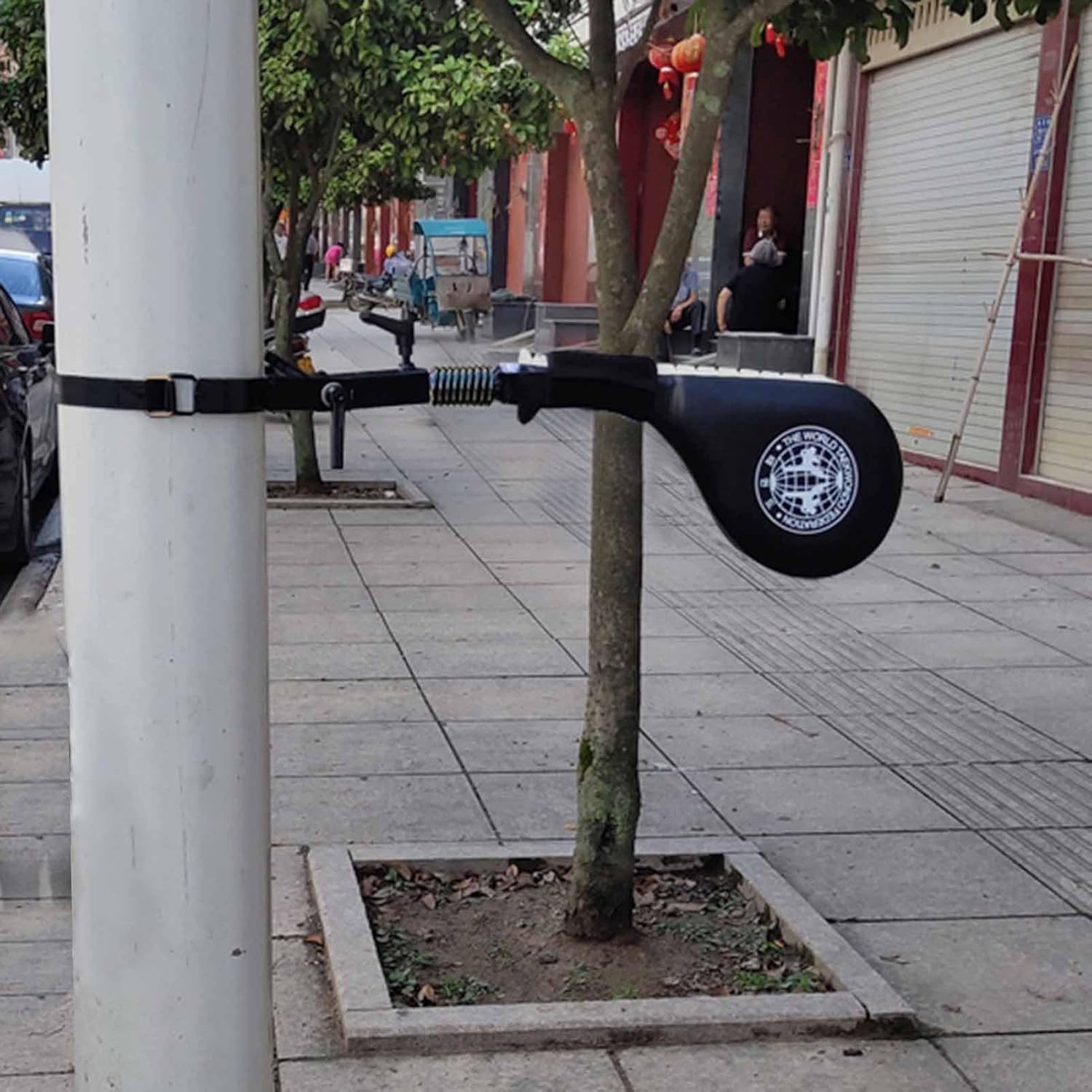 Amazon.com: Wing Chun Dummy Spring Arms Outdoor Indoor Boxing Equipment ...