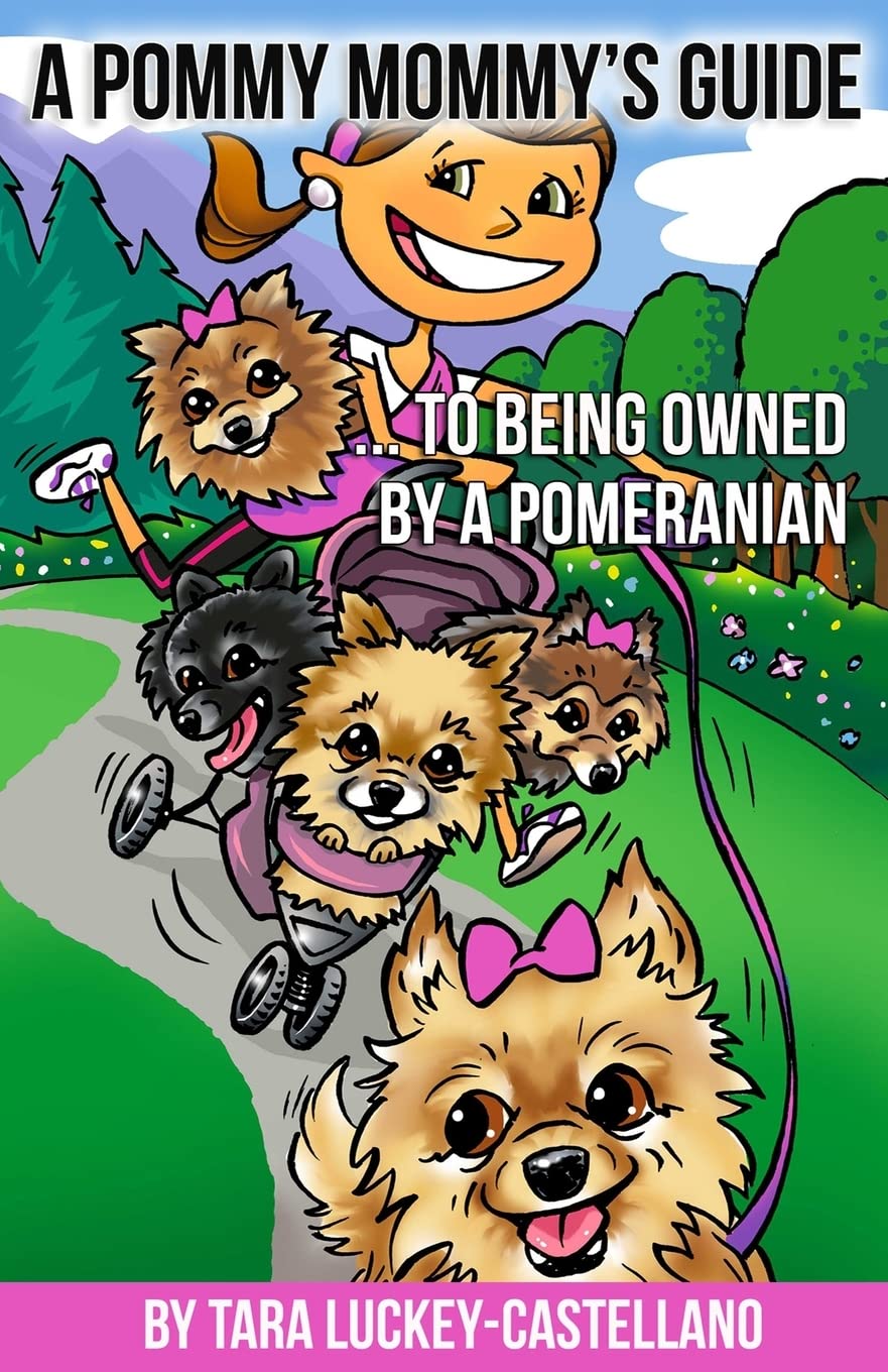 A Pommy Mommy's Guide: ... to being owned by a Pomeranian: Luckey ...