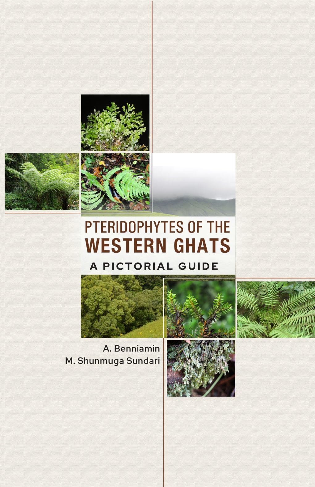 Buy Pteridophytes of the Western Ghats: A Pictorial Guide Book Online ...