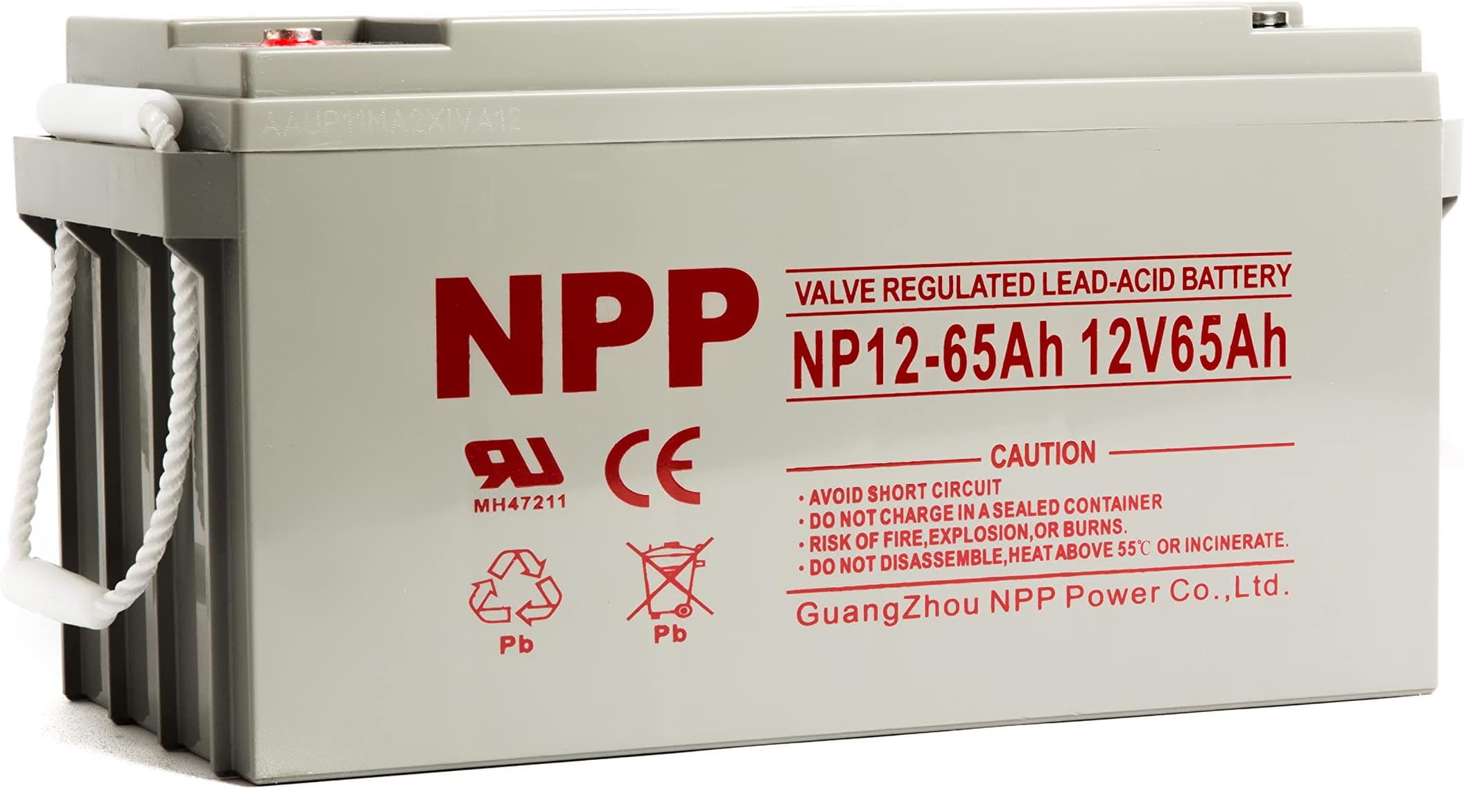 Amazon.com: NP12-65Ah (T14, 2Pcs) 12V 65Ah M6 Replacement Battery ...