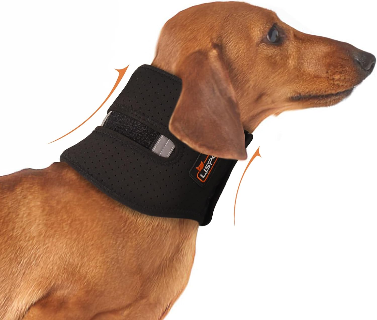 Amazon.com : Dog Neck Brace Offers Support for Pets Suffering from ...