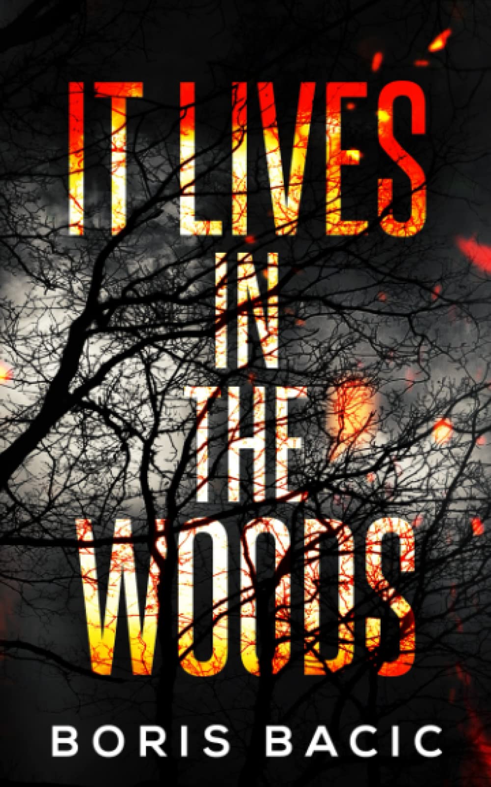 Amazon.com: It Lives In The Woods (Creature Encounters): 9798353145271 ...