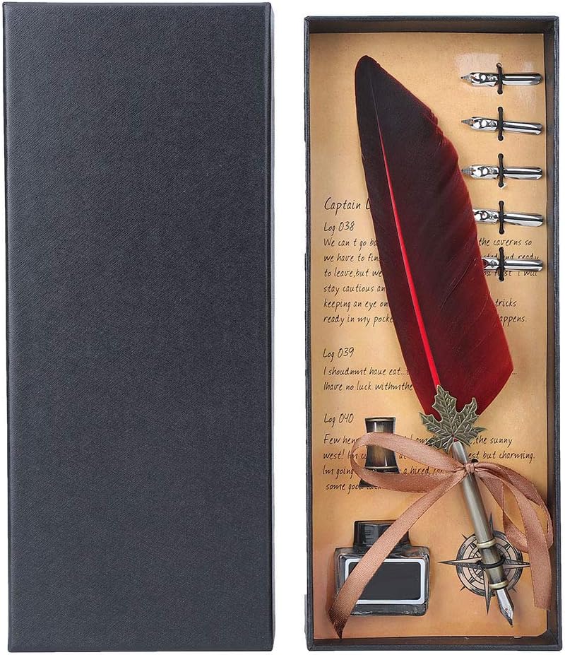 Amazon.com : Feather Pen Set, Calligraphy Pen Ink Quill Dip Pen Kit ...