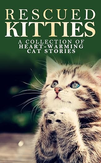 RESCUED KITTIES: A Collection of Heart-Warming Cat Stories - Kindle ...