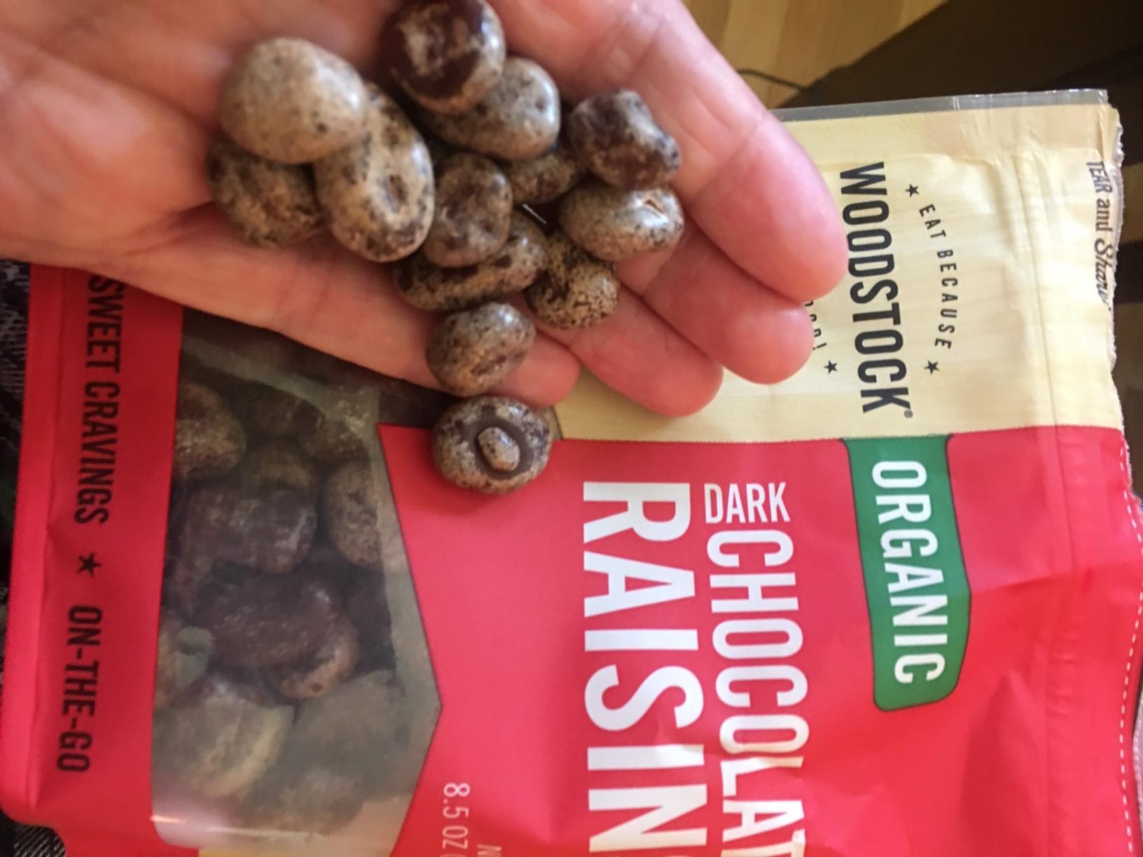Amazon.com: Organic Raisins; Dark Chocolate : Grocery & Gourmet Food