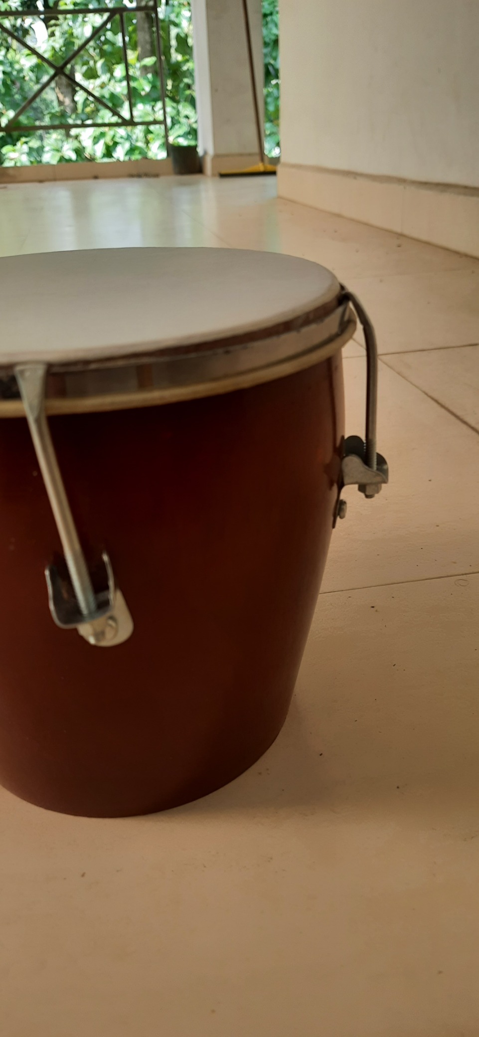 Sharma Musical Store Musical Wooden Bongo With Bag (Ivory) : Amazon.in ...