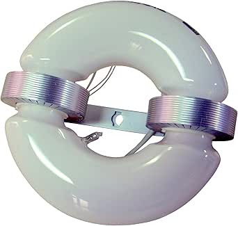 Circular Induction Light Blub 120w w/ Ballast - Led Household Light ...