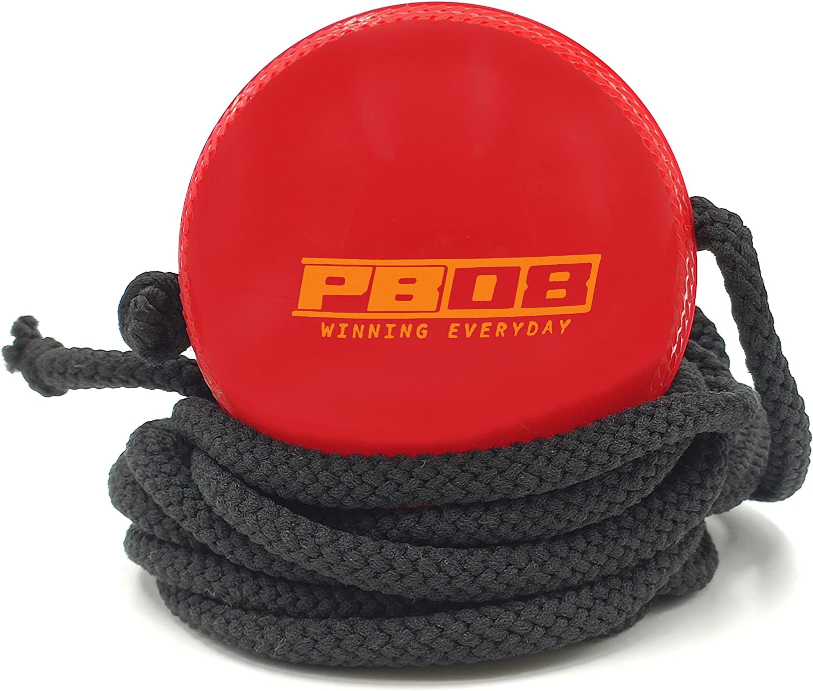 PB08 WINNING EVERYDAY Synthetic Cricket Hanging Ball, Cricket Training ...