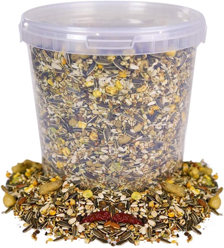 BusyBeaks African Grey Parrot Food | High Energy & Protein NO1 Mix ...