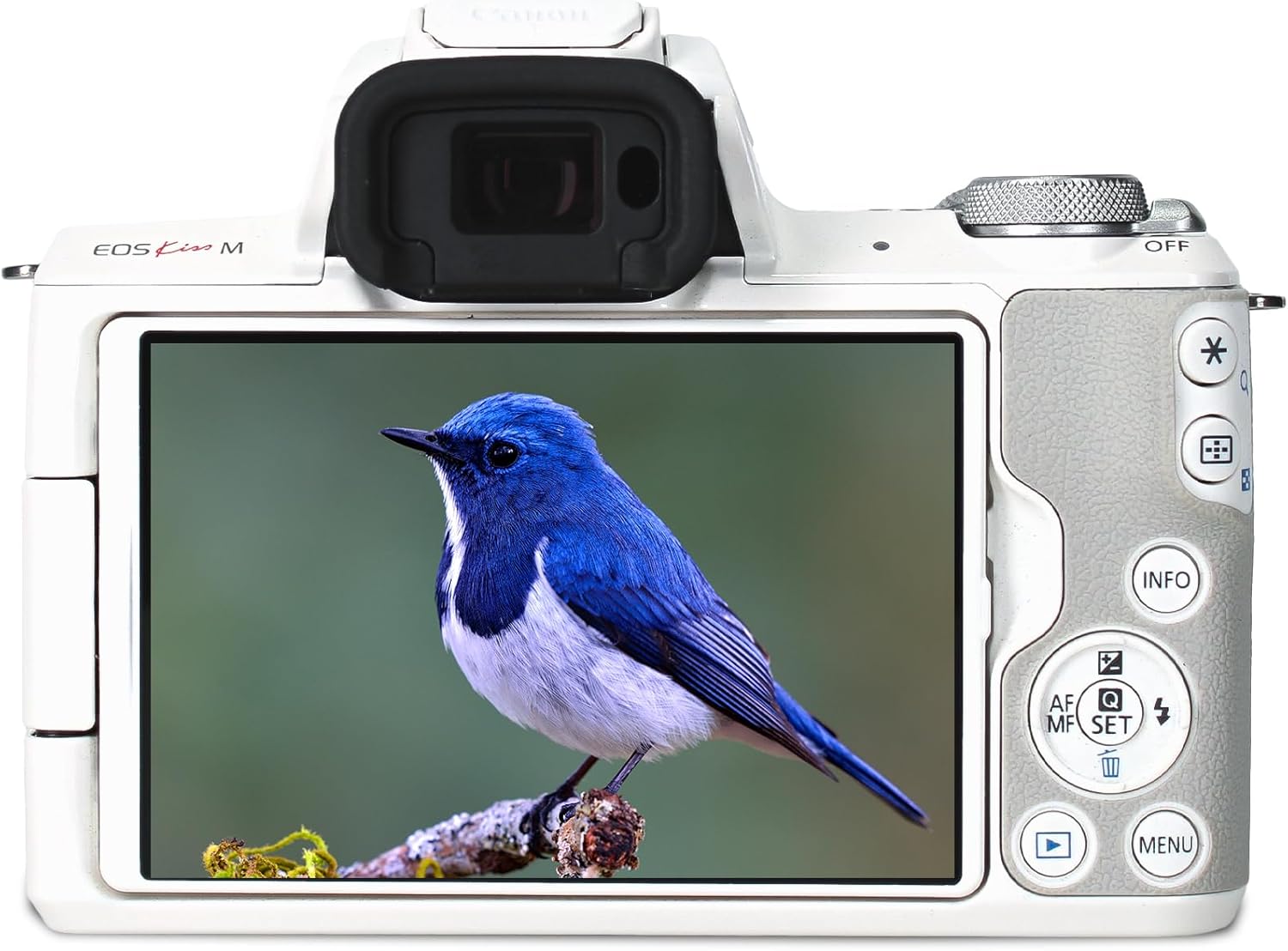 Canon EOS Kiss M / M50 Mirrorless Camera User Manual