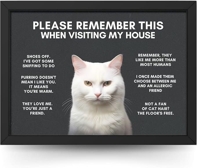 State Media Vision Funny Cat House Rules Wall Print - Cat Lover’s ...