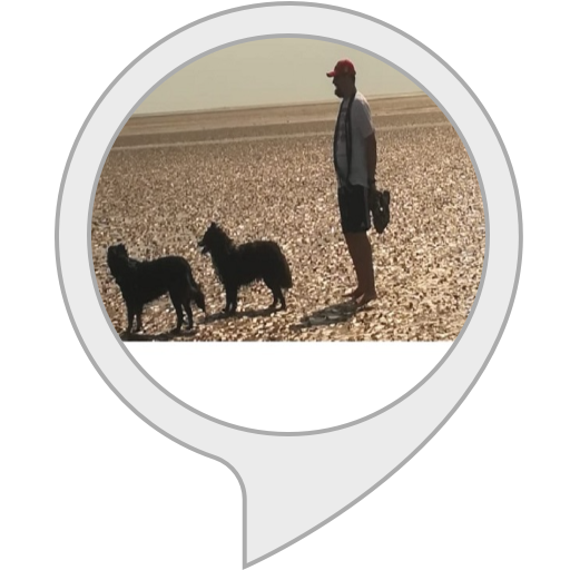 Amazon.de: Elf verliert : Alexa Skills