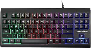 Lumsburry Computer Keyboard, 87 Keys Compact Wired USB Keyboard with ...