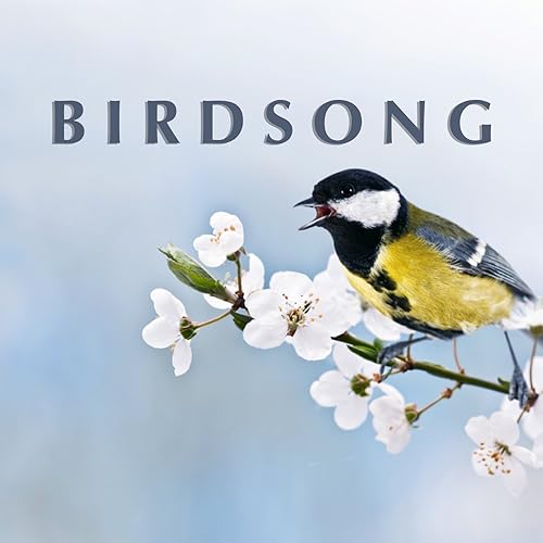 Birdsong by Various artists on Amazon Music - Amazon.co.uk