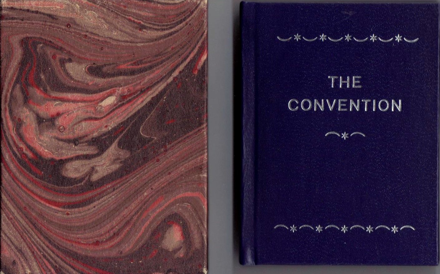 The Convention: Coover, Robert: 9780935716139: Amazon.com: Books