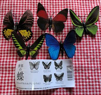 Amazon.co.jp: Butterfly of the World Realistic Magnet Collection Vol. 1 ...