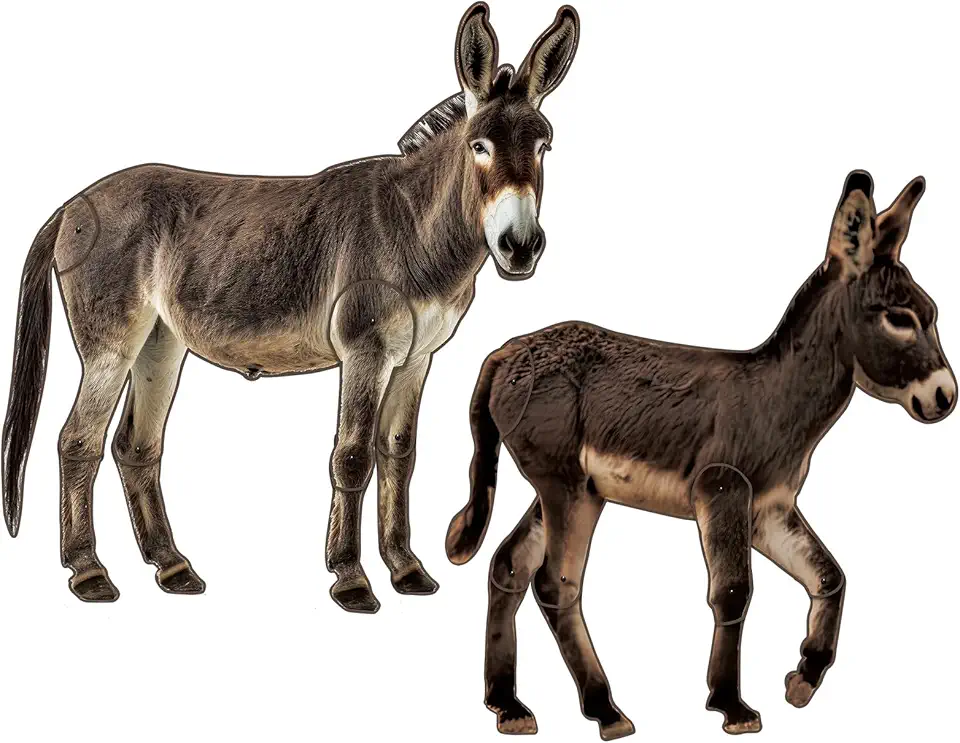 The Essential Guide To Measuring A Donkey: A Step-By-Step Approach ...