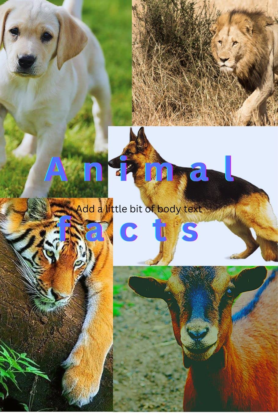 Amazon | ANIMAL FACTS (English Edition) [Kindle edition] by Olivia ...