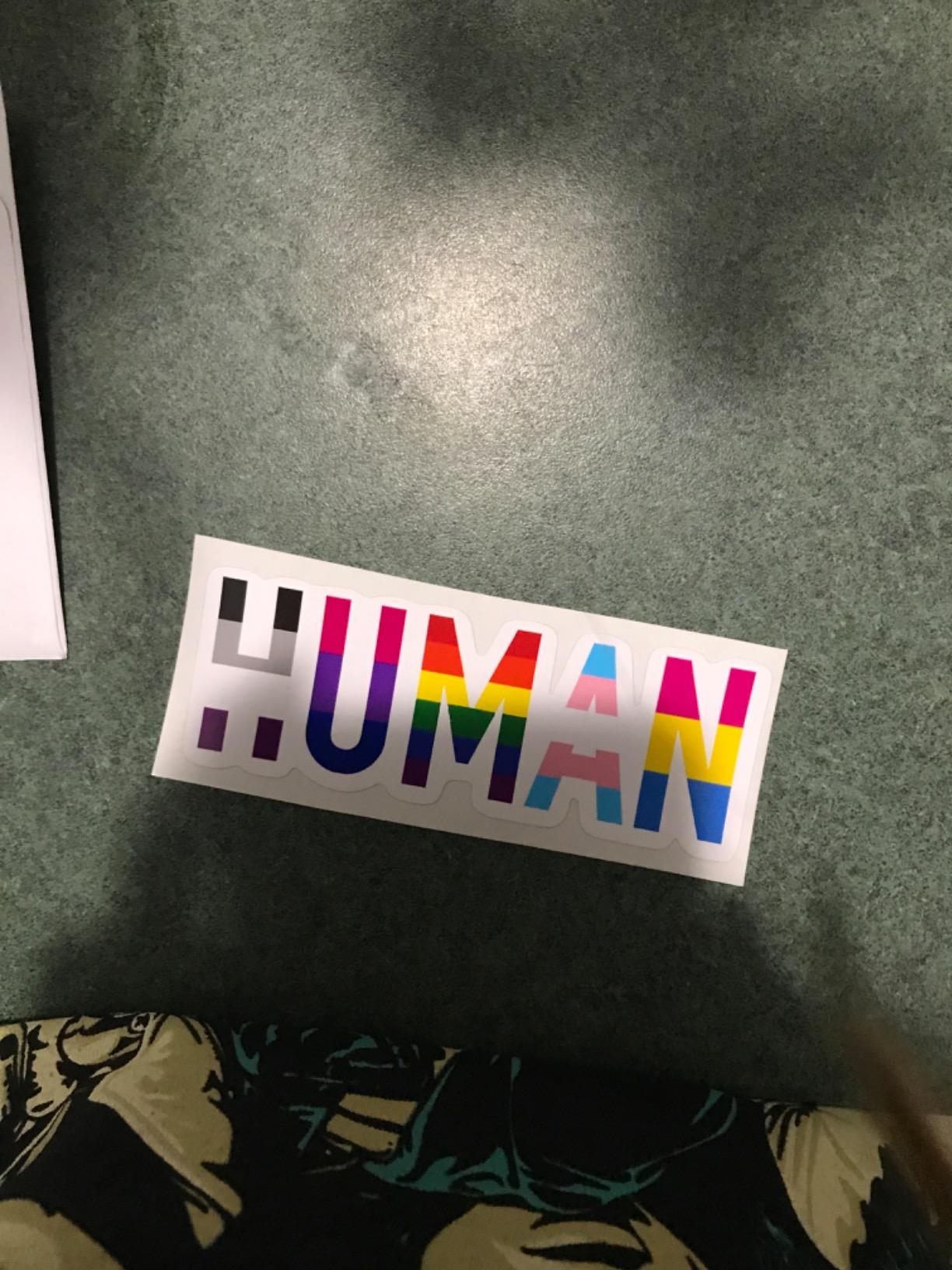 Amazon.com: Lancy's Artwork Human, LGBT+ - 4x4 - Gay Pride Sticker ...