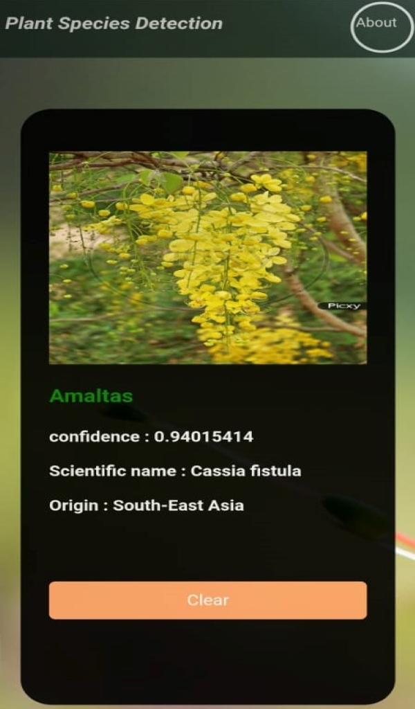 Plant detector:Amazon.in:Appstore for Android