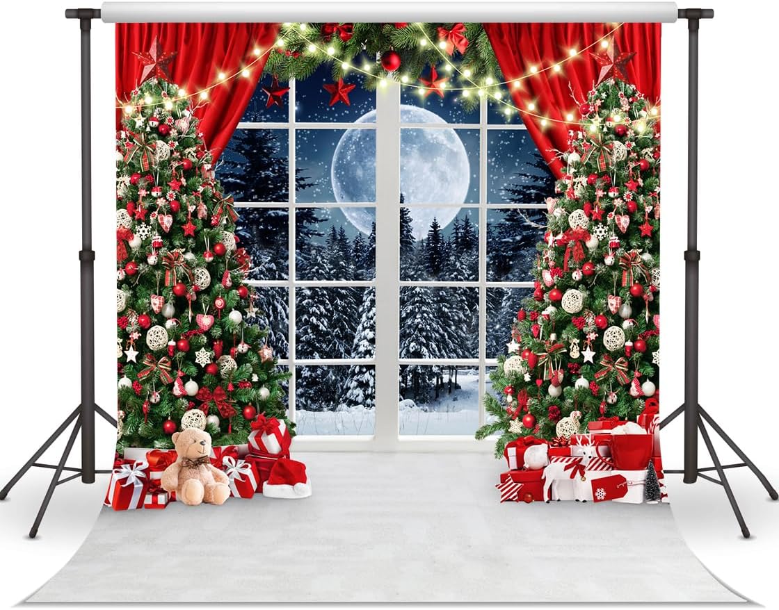 Amazon.com : WOLADA Christmas Backdrop Christmas Window Backdrop Night ...