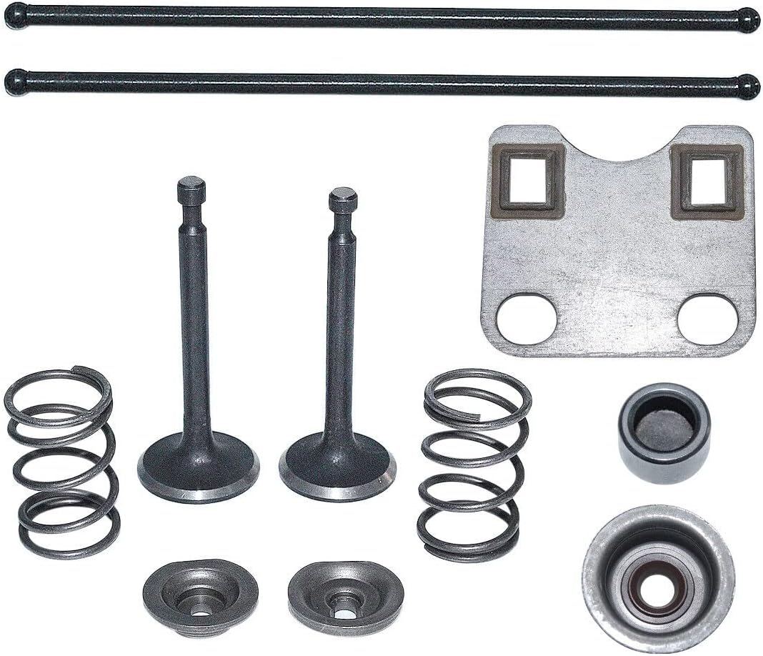 Amazon.com: ORALOCK for Valve Plate Push Rod Stem Set for GX160 GX200 5 ...