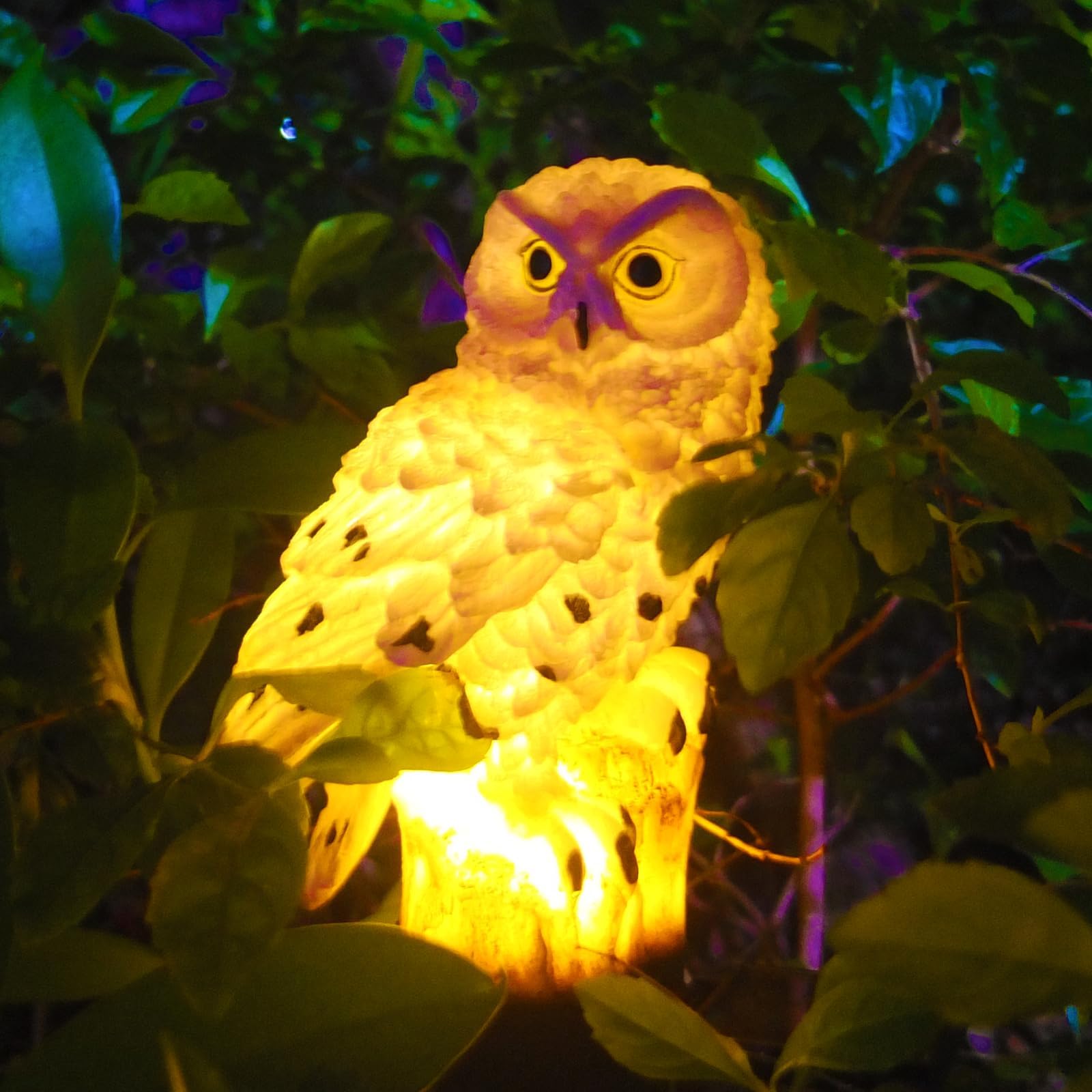 Amazon.com : Exhart Solar Owls Garden Statue, Durable Hand Painted ...