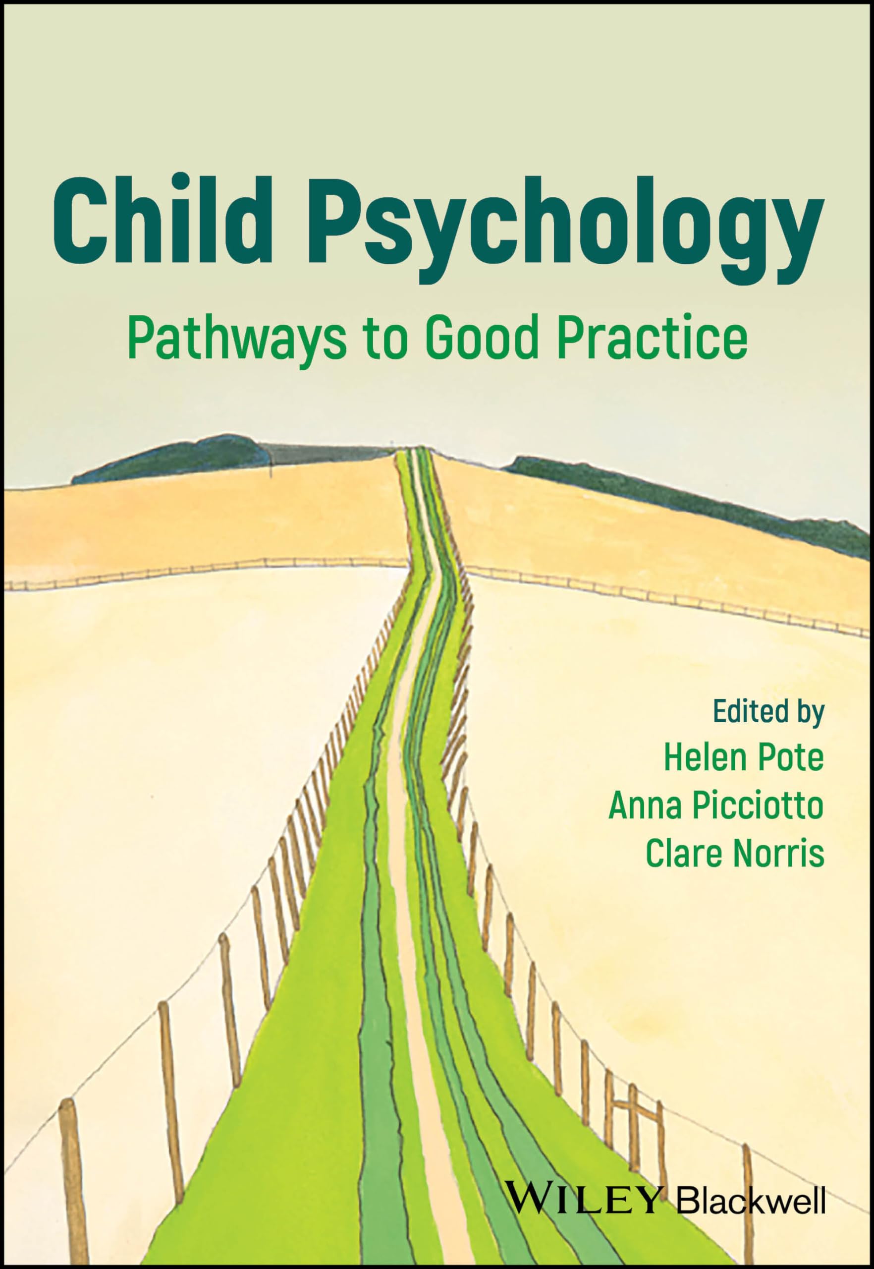 Child Psychology: Pathways to Good Practice: Amazon.co.uk: Pote, Helen ...