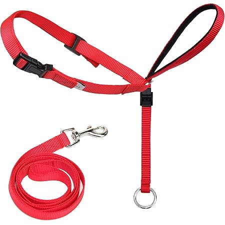 K9 Bridle - to stop your dog pulling (Medium, Red) : Amazon.co.uk: Pet ...