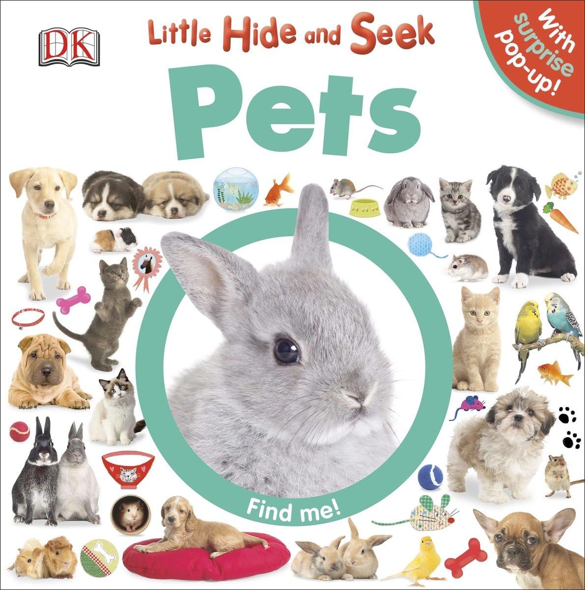 Little Hide and Seek: Pets: DK: 9781465424600: Books - Amazon.ca
