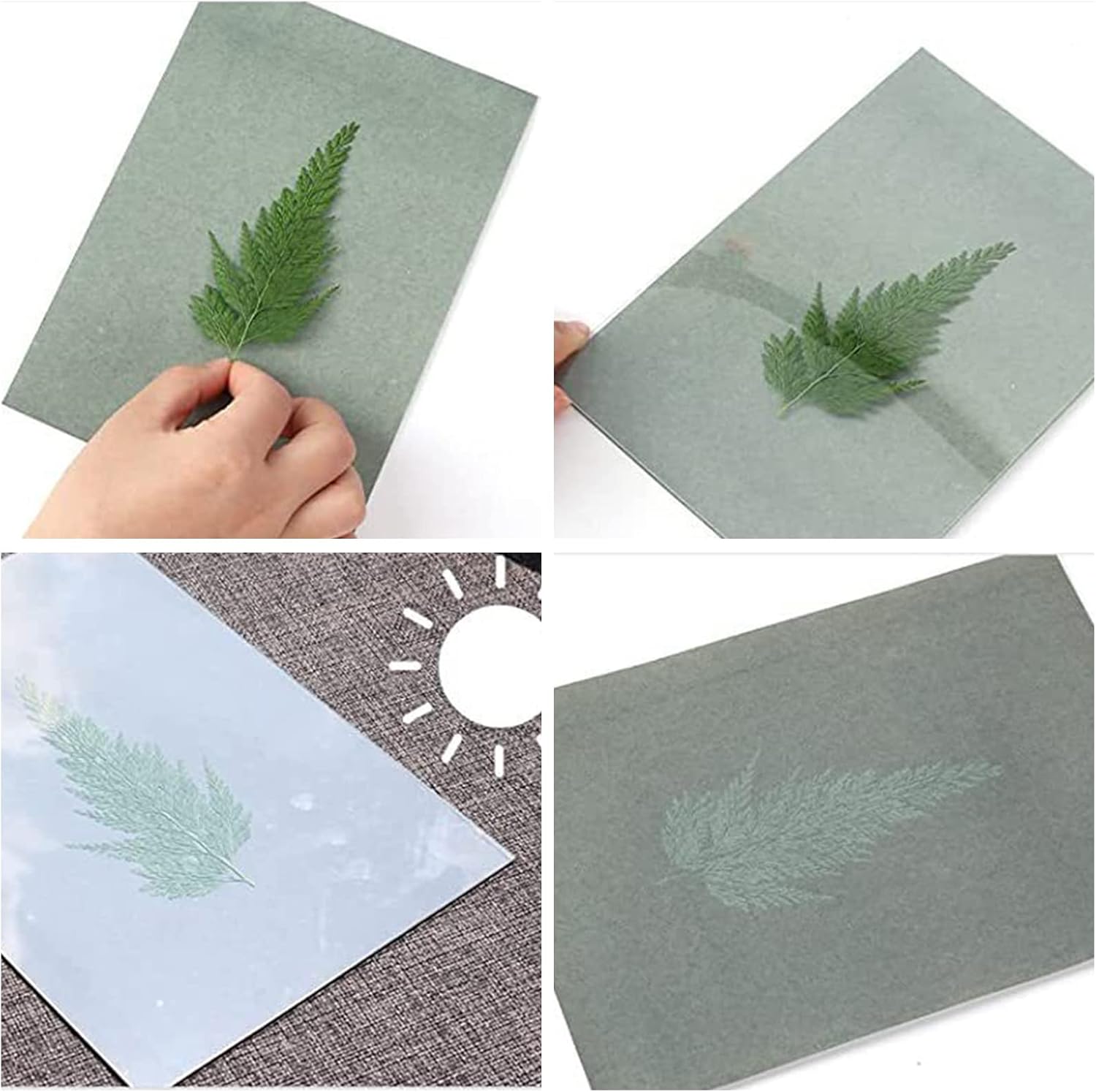 32 Sheets Sun Print Cyanotype Paper,A Acrylic Transparent Plate is ...