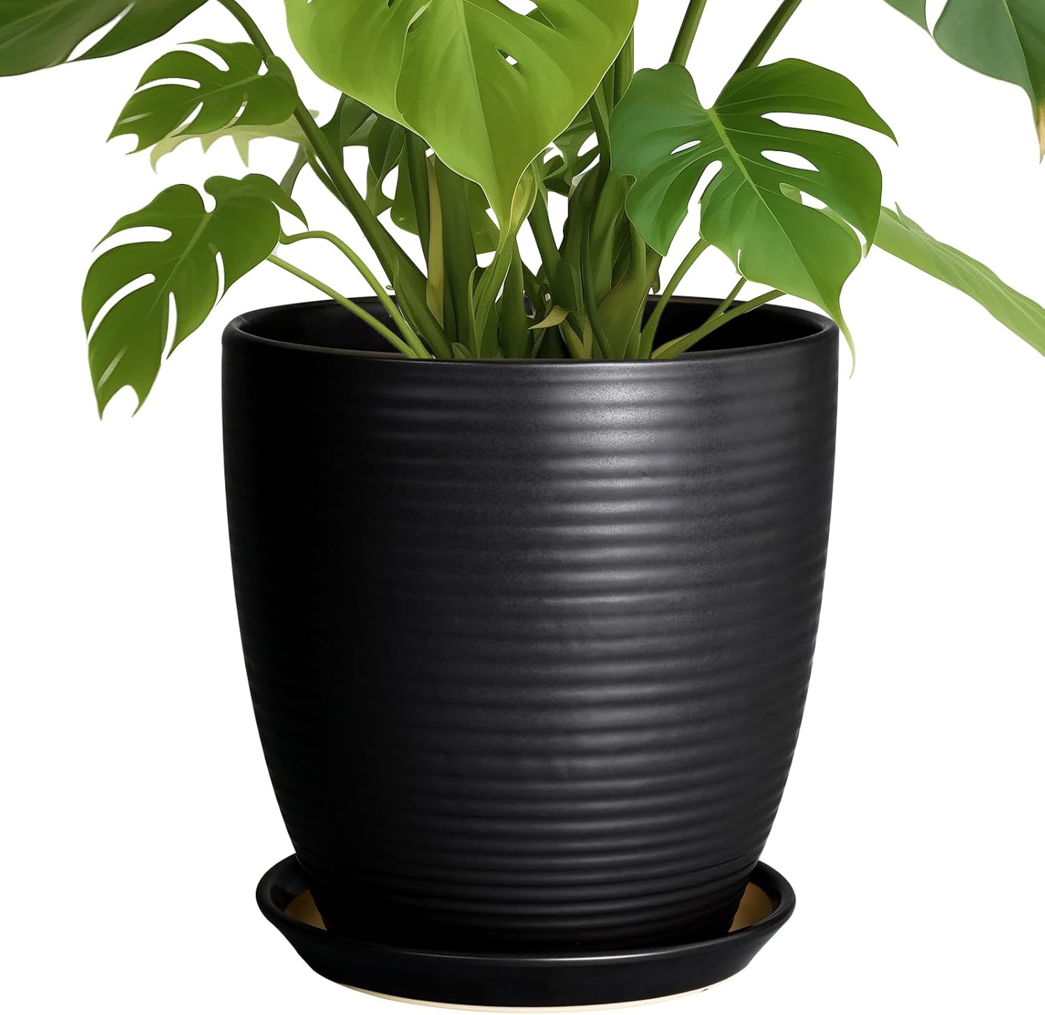 Amazon.com : EPFamily Ceramic Plant Pot 10 Inch - Large Planter Pots ...