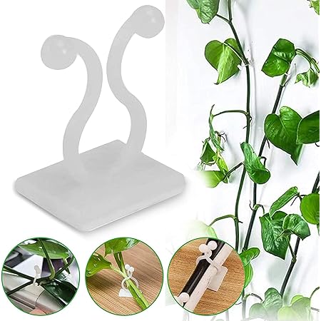 Plant Climbing Wall Clips | Plant Climb Clip | Plant Support Garden ...