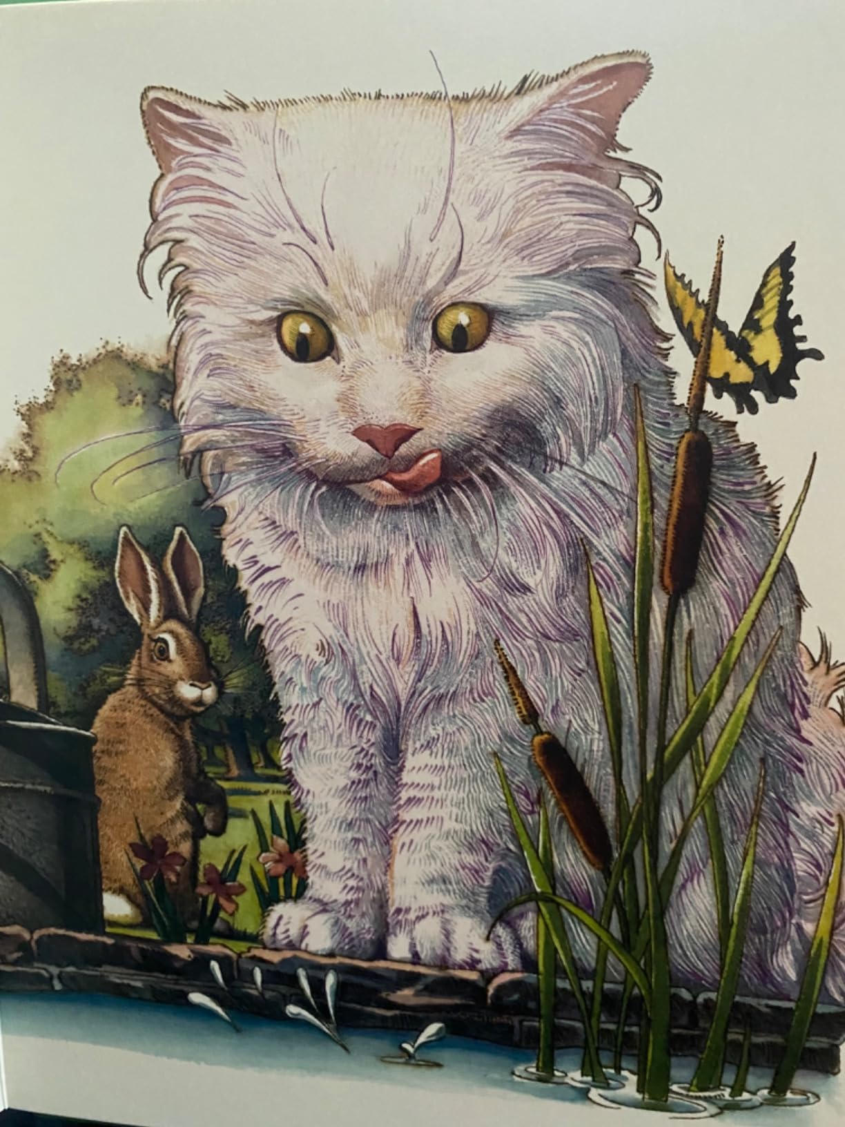 The Classic Tale of Peter Rabbit Oversized Padded Board Book (The ...