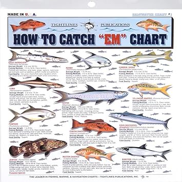Amazon.com : Fishermans Saltwater Fish Chart #1 : Boating Equipment ...