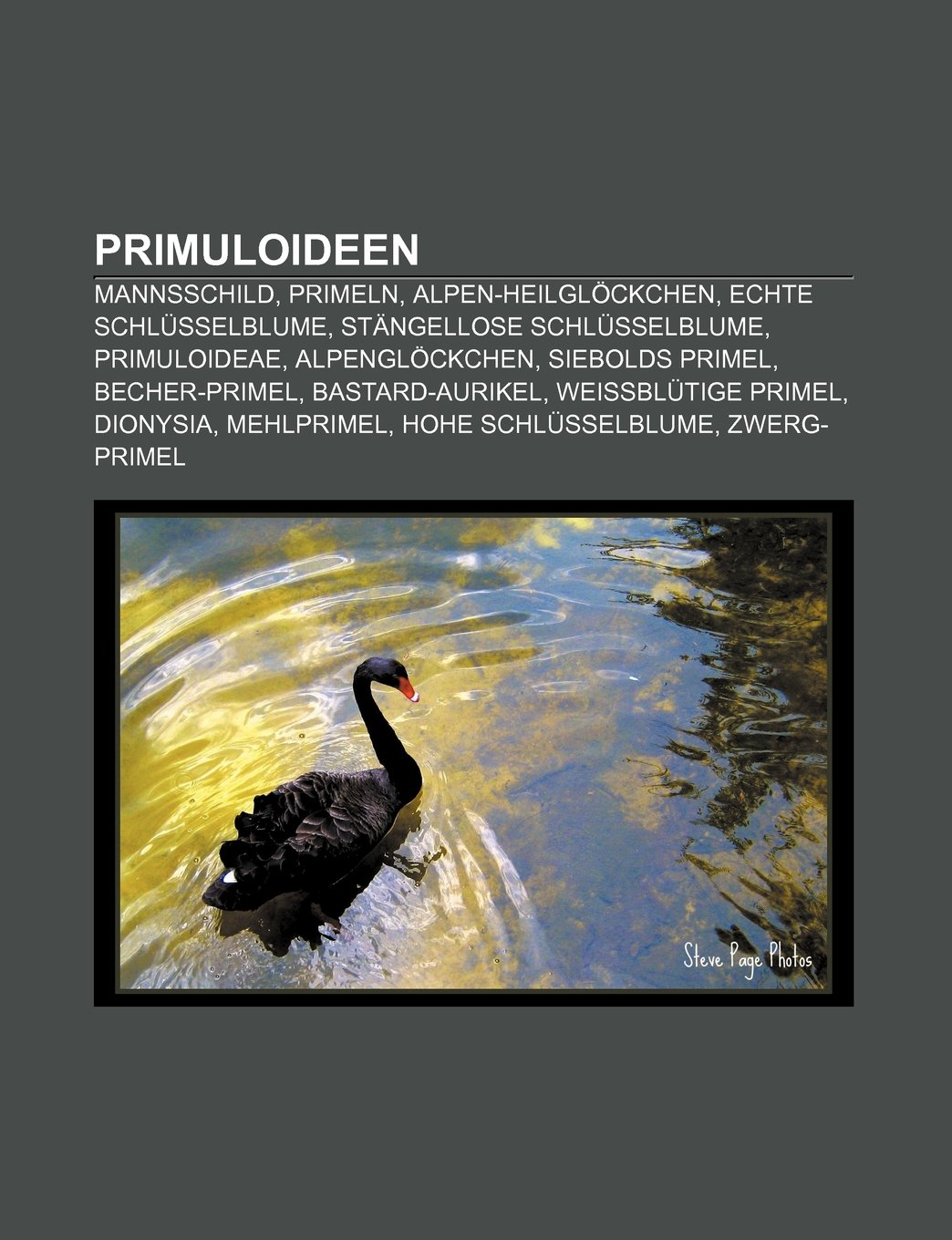 Amazon.co.jp: Primuloideen: Primuloideae, Alpengl Ckchen, Dionysia ...