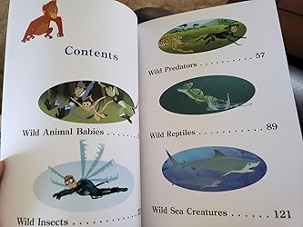 Amazon.com: 5 Wild Creature Adventures! (Wild Kratts) (Step into Reading): 9781101939000: Kratt ...