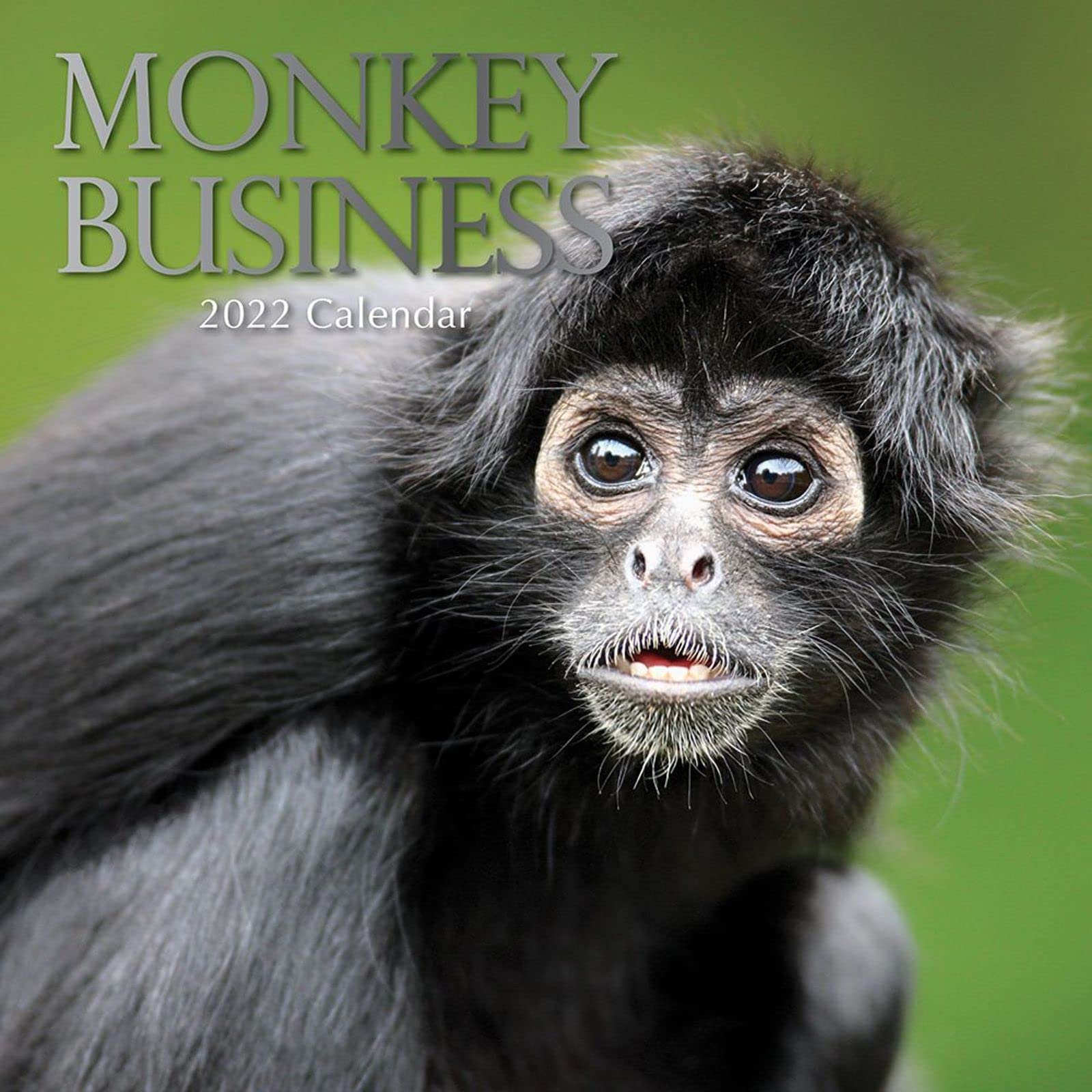 Monkey Business Calendar 10 Years Of Monkey Business (TV Series