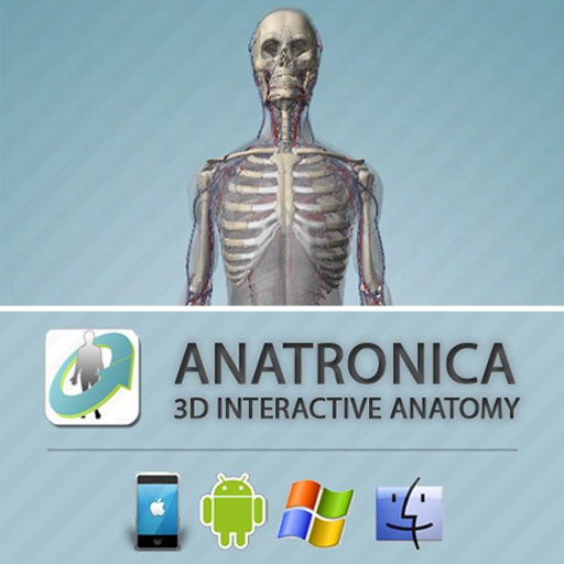 Interactive 3d Anatomy Anatomy 3D Atlas