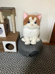 Amazon.com: IKASA Giant Ragdoll Cat Stuffed Animal Plush Toy,Large Big ...
