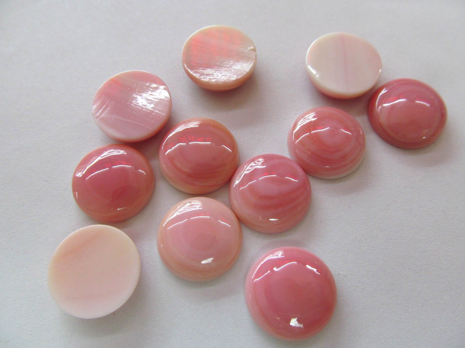 Conch Shell Beads