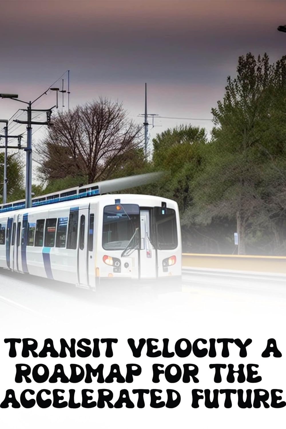 Transit Velocity: A Roadmap for the Accelerated Future eBook : Ramos ...
