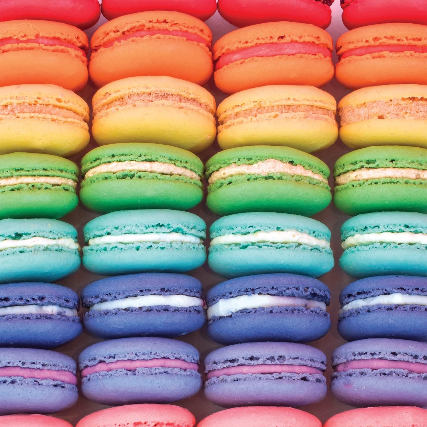Amazon.com: Buffalo Games - Macaron Spectrum - 300 Piece Jigsaw Puzzle ...