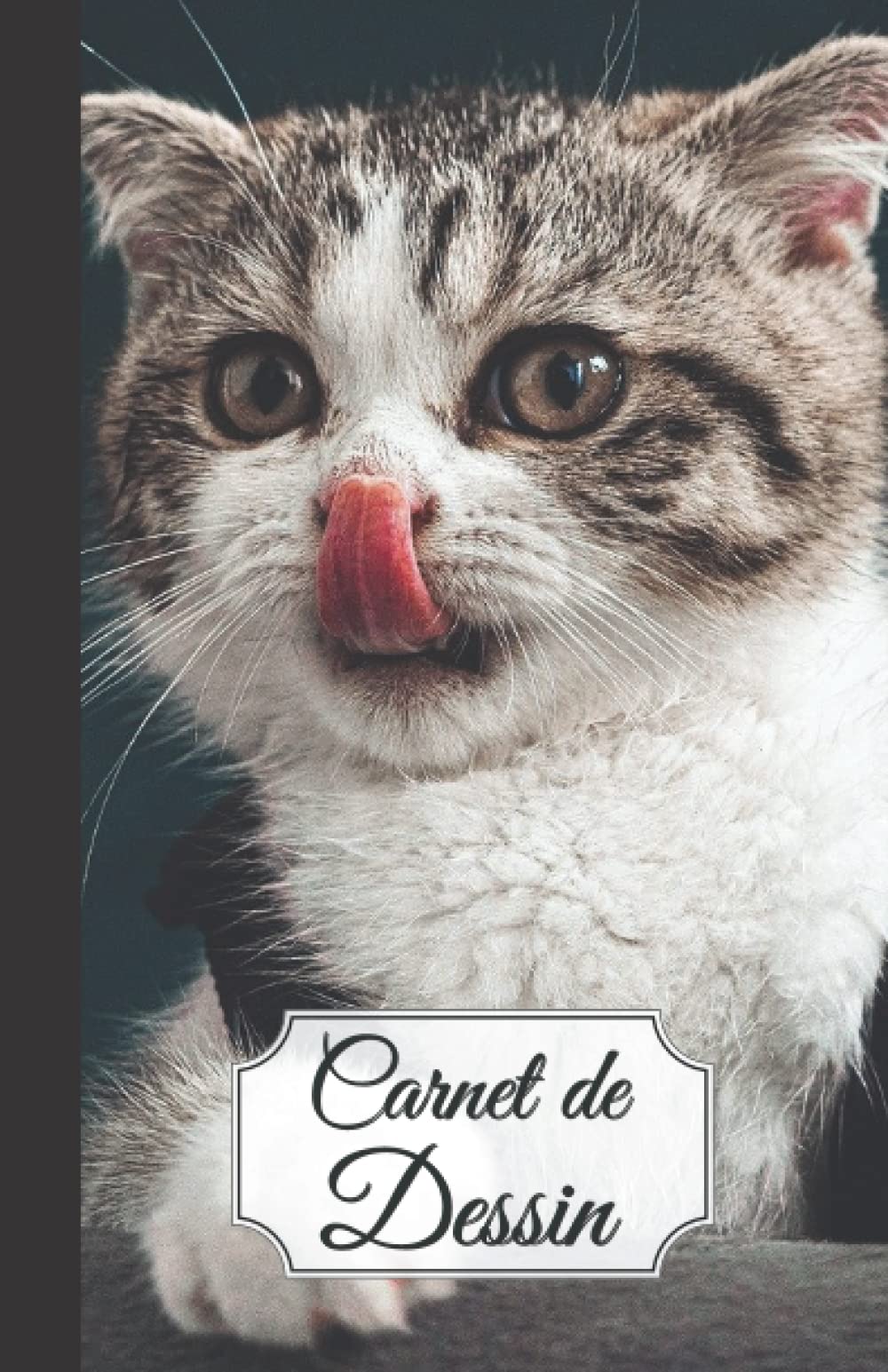 Buy cahier de dessin: carnet de dessin pour ado et adulte - format A5 ...