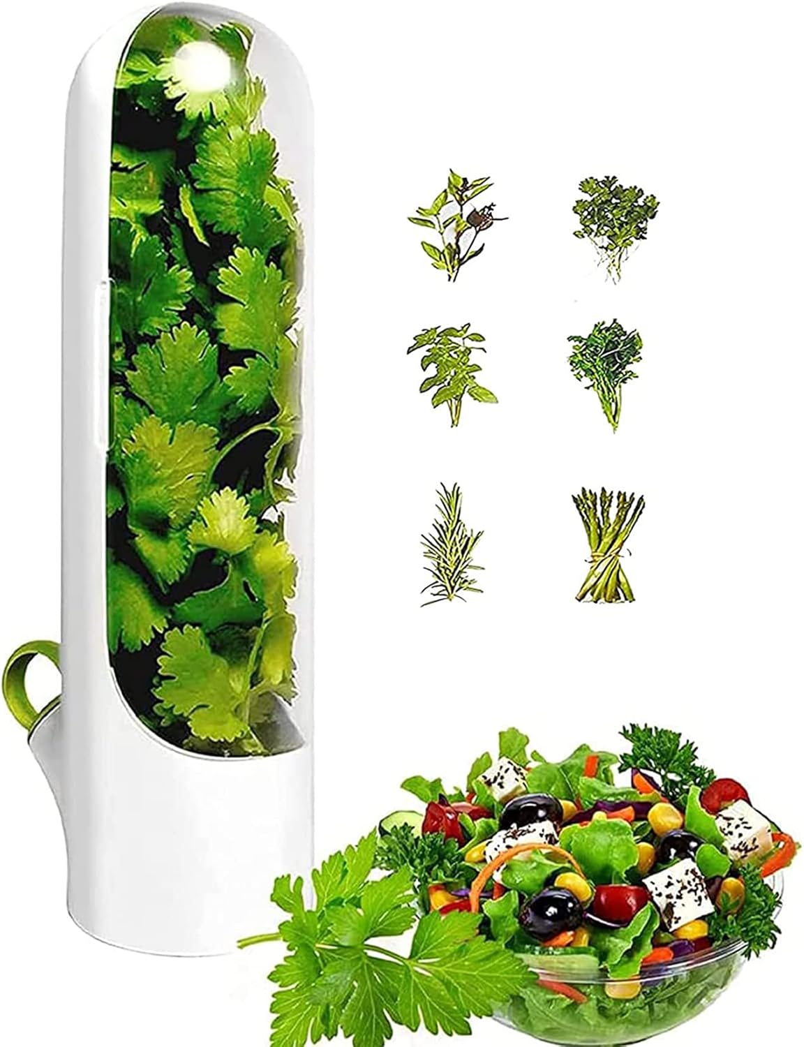 Amazon.com: Fresh Herb Keeper, Herb Saver - Herb Cilantro Containers ...